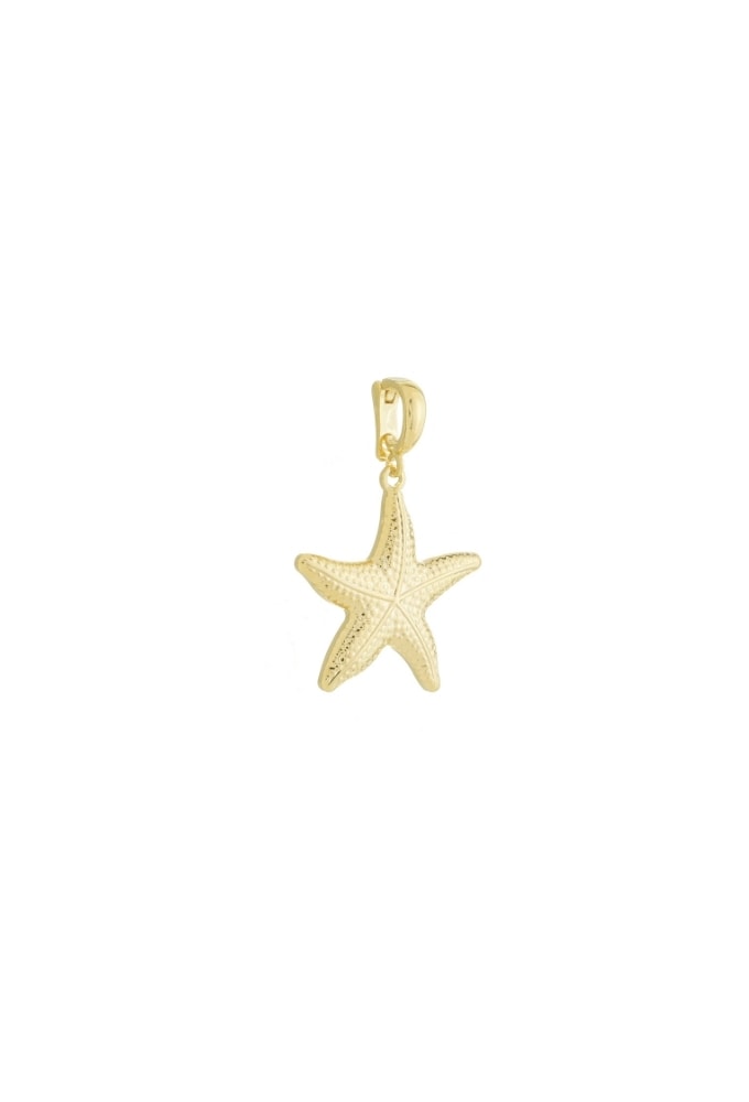 Pingente de estrela no ouro | Revenda Oh My Gold